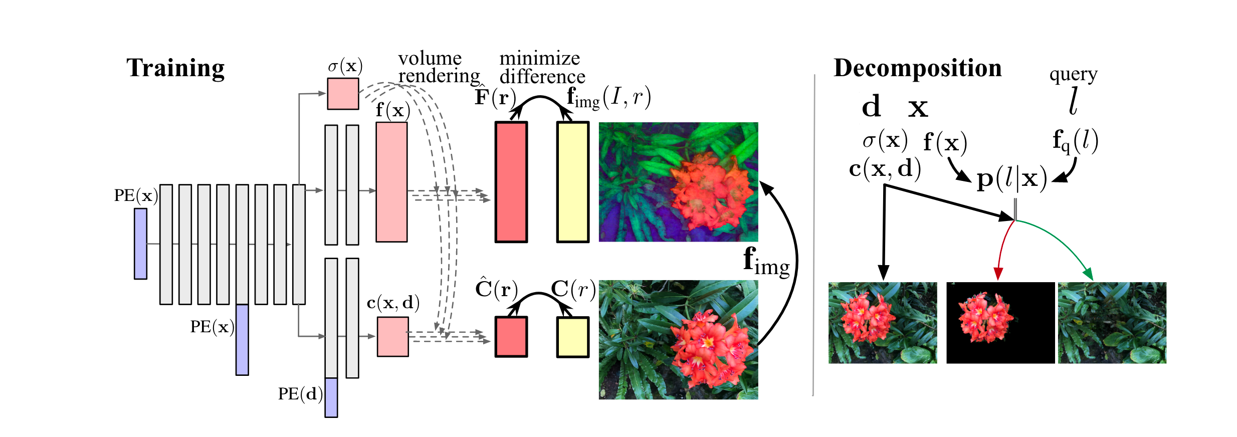 3D Semantic-NeRF相关 - EverNorif