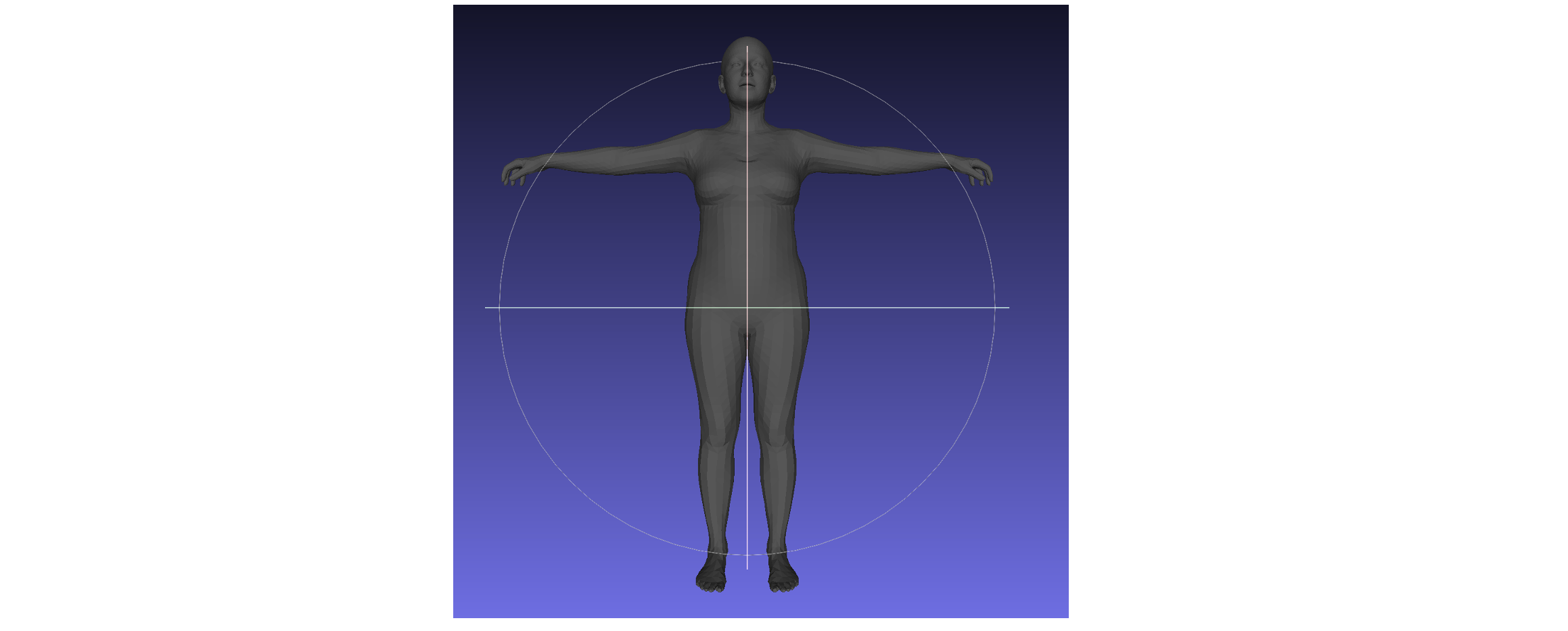 SMPL模型介绍及使用 - EverNorif